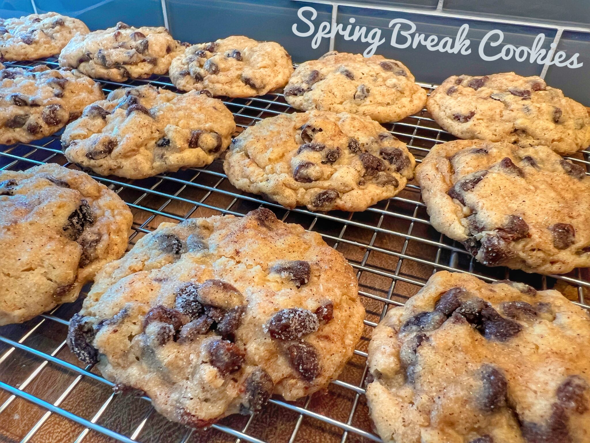 Spring Break Baking – Honeybears & Sydneybeans
